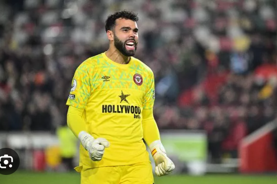 Arsenal Secures Season-Long Loan of Goalkeeper David Raya from ...