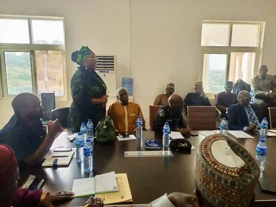 Plateau technical committee on mining moves to tackle challenges ...